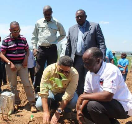 PIL in tree planting exercise: Plants 10,000 trees on Ndirande Mountain ...
