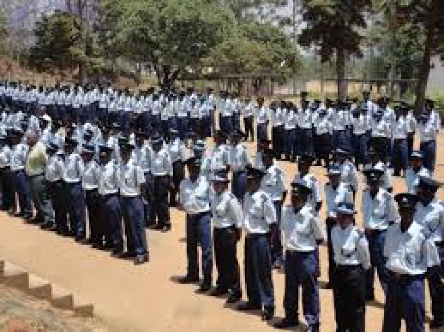 Malawi: Immigration processes 123 applications since inception of e ...