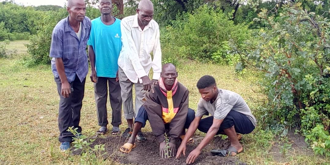 Friends of Khongoni inspire communities to plant trees