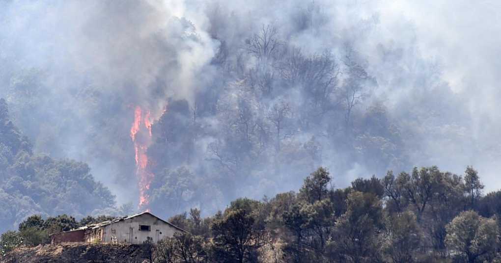 At least 600 families rendered homeless by wildfires in Algeria - The ...
