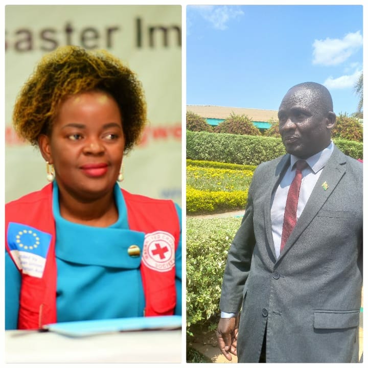 "New Disaster Risk Management law ready by Jan 2023"-DoDMA - The Maravi ...