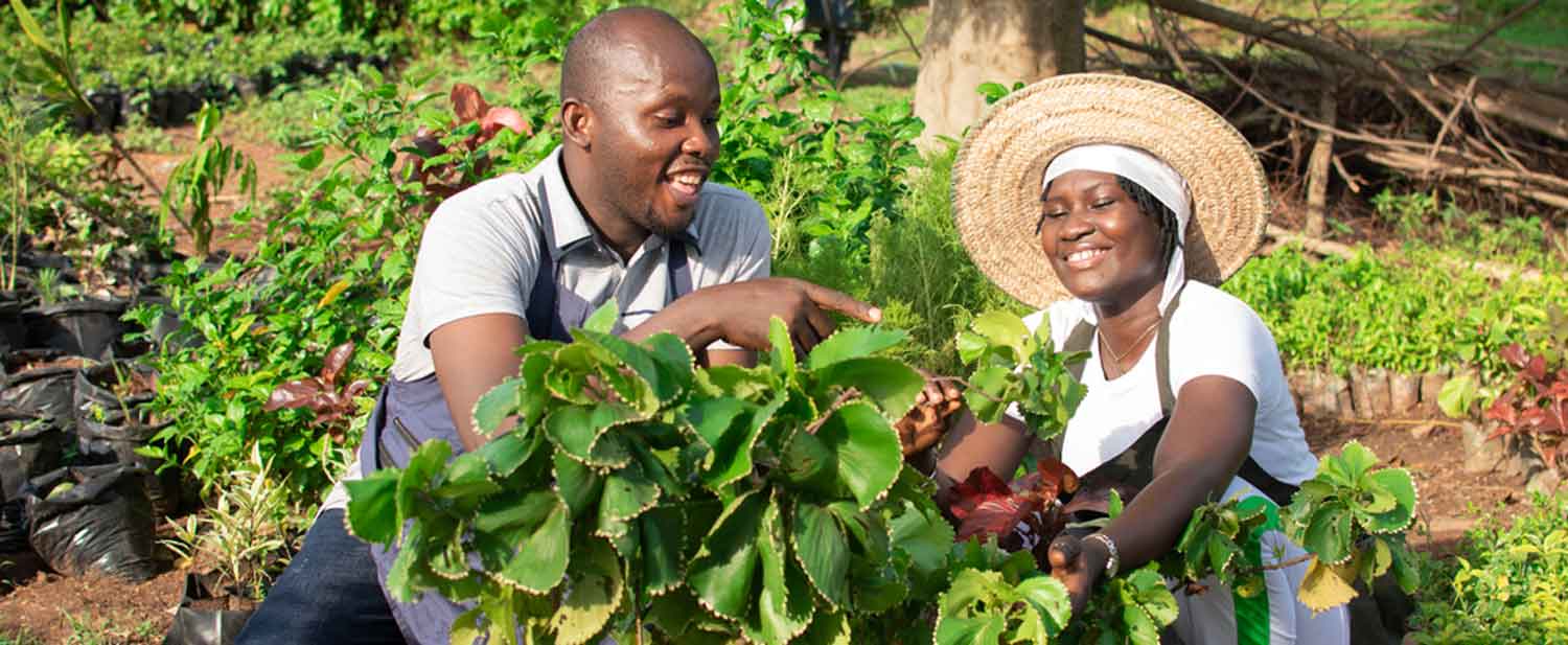 Boost Africa Initiative: How the African Development Bank is empowering ...