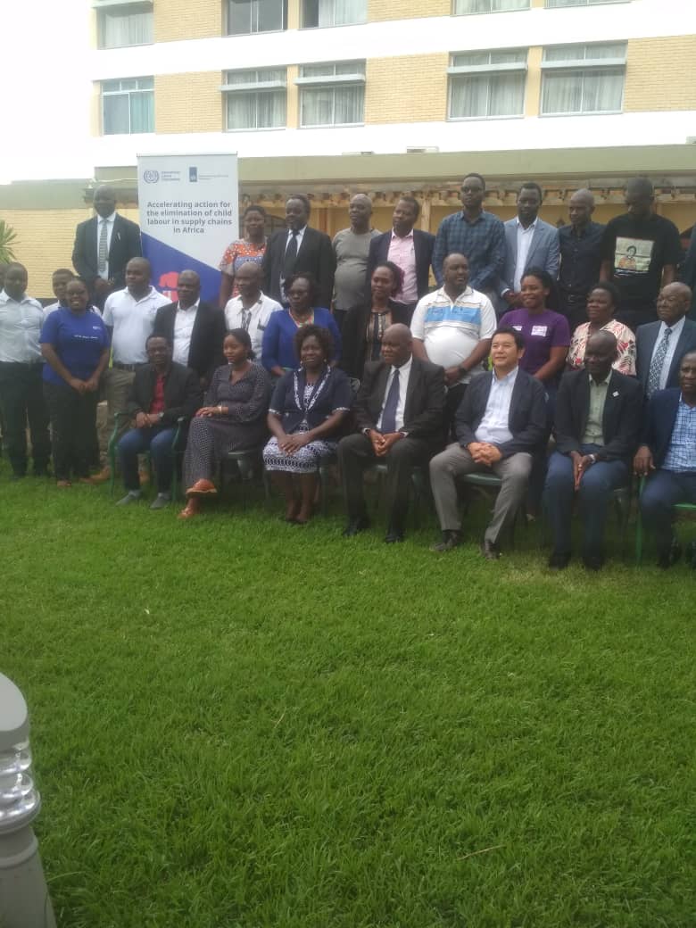 Combating child labour in tea value chain: Lessons from Kenya, Malawi ...