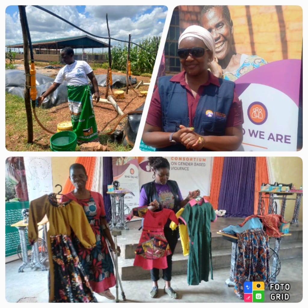 Malawi Irish Consortium on GBV for women's economic independence - The ...