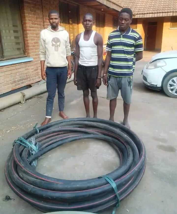 Illovo sugar Dwangwa estate Cable Theft: Three srrested, face theft ...