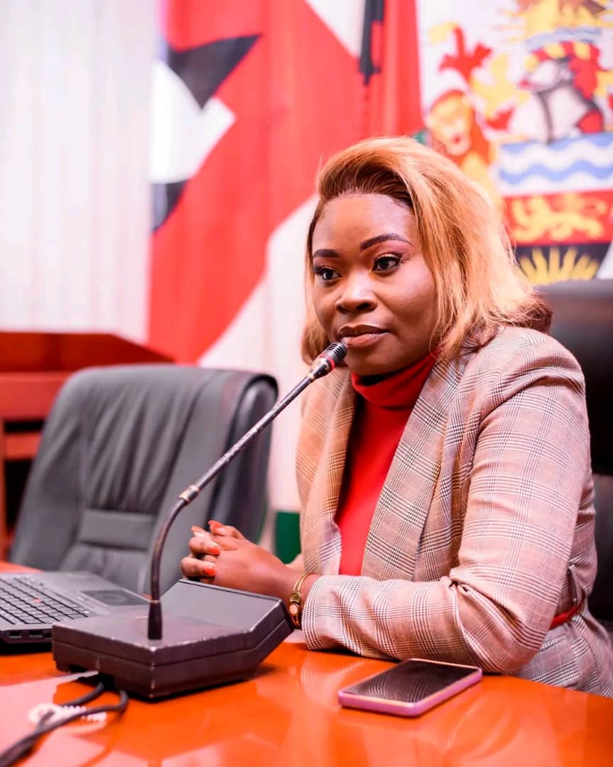 Chisenga slams police, hospital over mishandling of child abuse case in ...